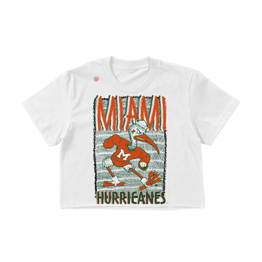 Miami Hurricanes